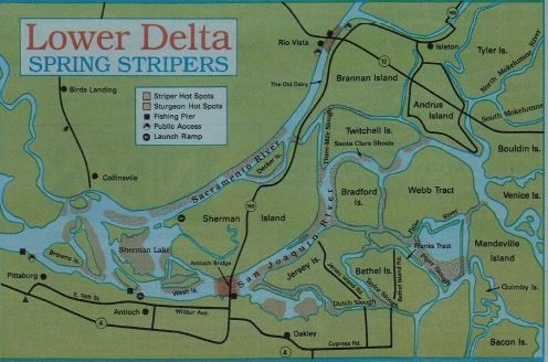 April 2020 Delta Stripers Fishing Map, Report, How and Where to fish ...