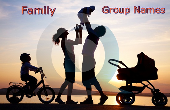 BEST WHATSAPP STATUS IN 2016: Best 200 Family for Whatsapp Status ...