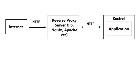Understanding OutOfProcess Hosting Model in ASP.NET Core ~ IT Tutorials ...