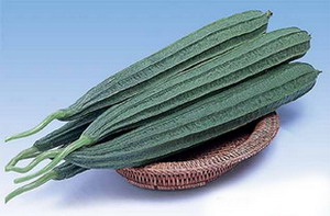 Cara Budidaya Terung dan Budidaya Oyong | Pertanian Dan Perternakan