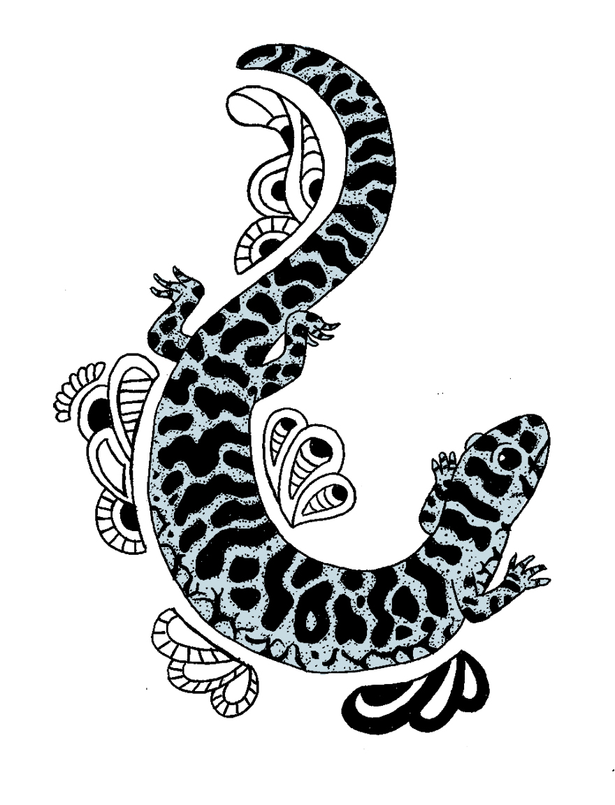 Salamander Designs