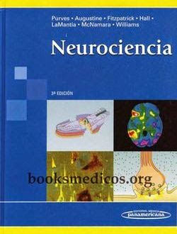 Purves Neurociencias 3ª Edición | booksmedicos