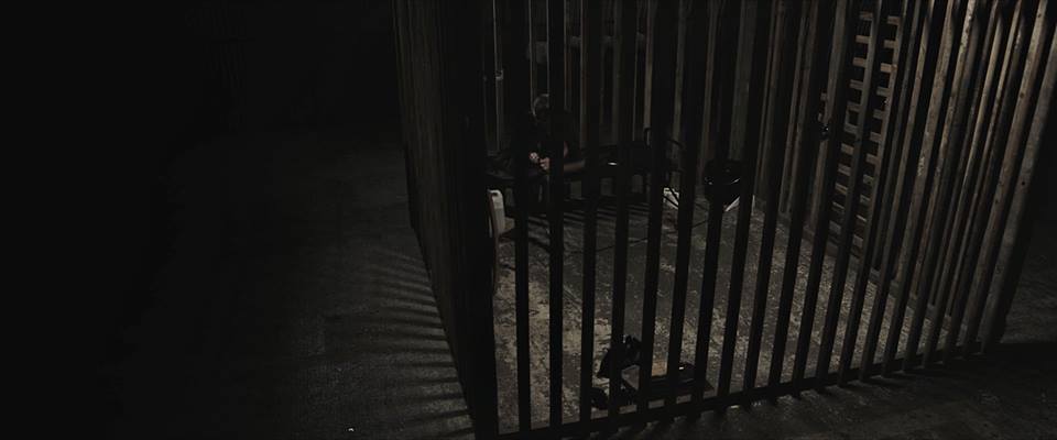 Cult films and the people who make them: Cage