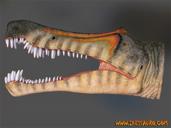 Angaturama | Ikessauro