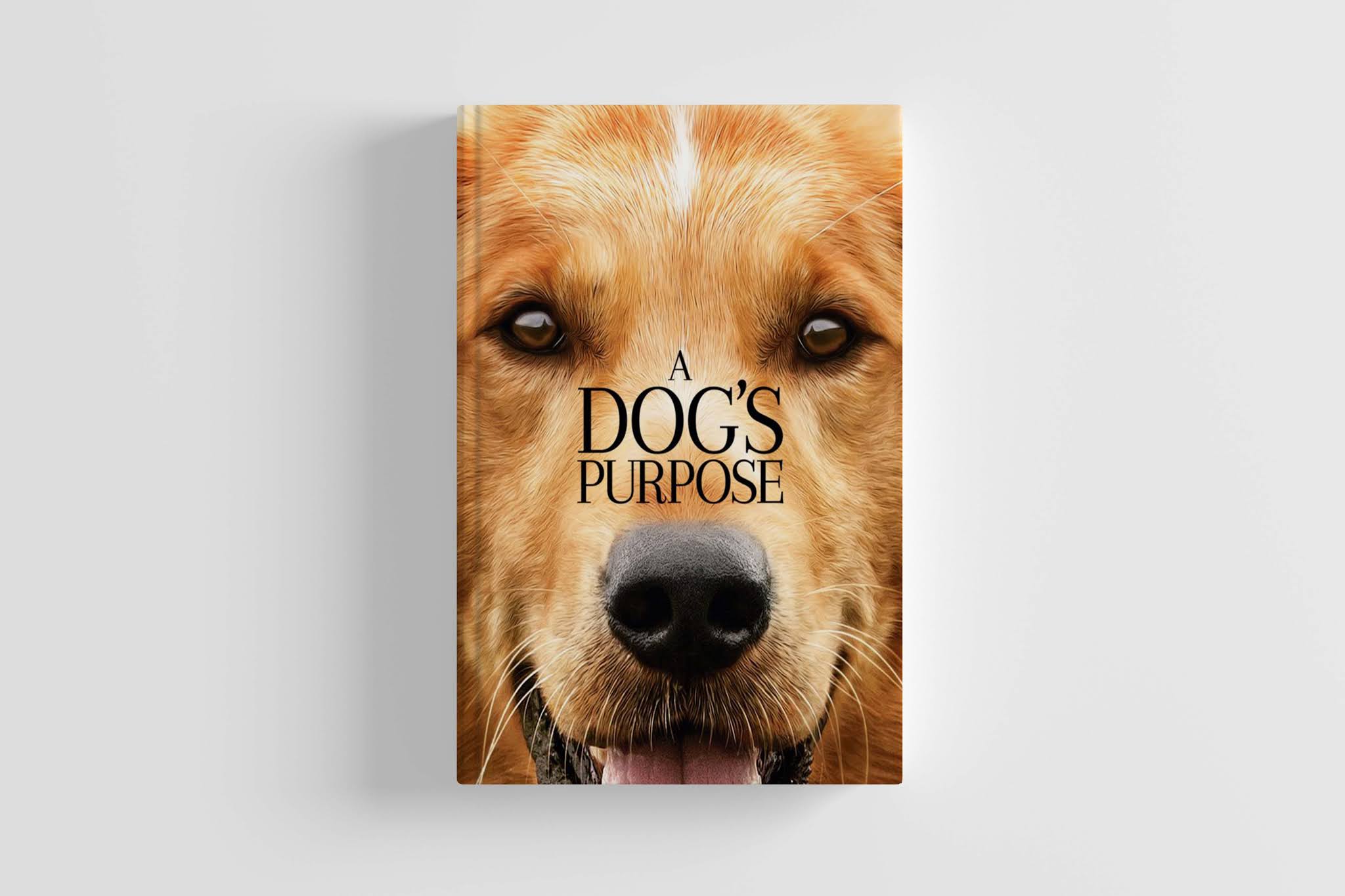 Dog Related Book Cover Design | All New Job Circular and Educational News