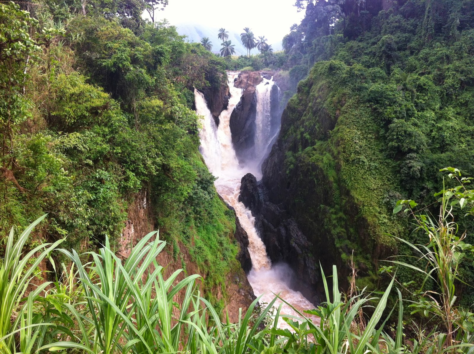 The Purpose of Life is to Enjoy Every Moment: The Ring Road: Bafut, Wum ...