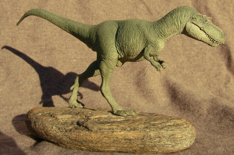 Dinosaur Modeller: Gorgosaurus libratus, sculpted by Greg Wenzel.