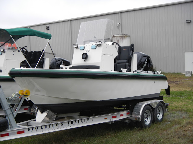 Double Webbie Single Shark: A Quick Update by Eric