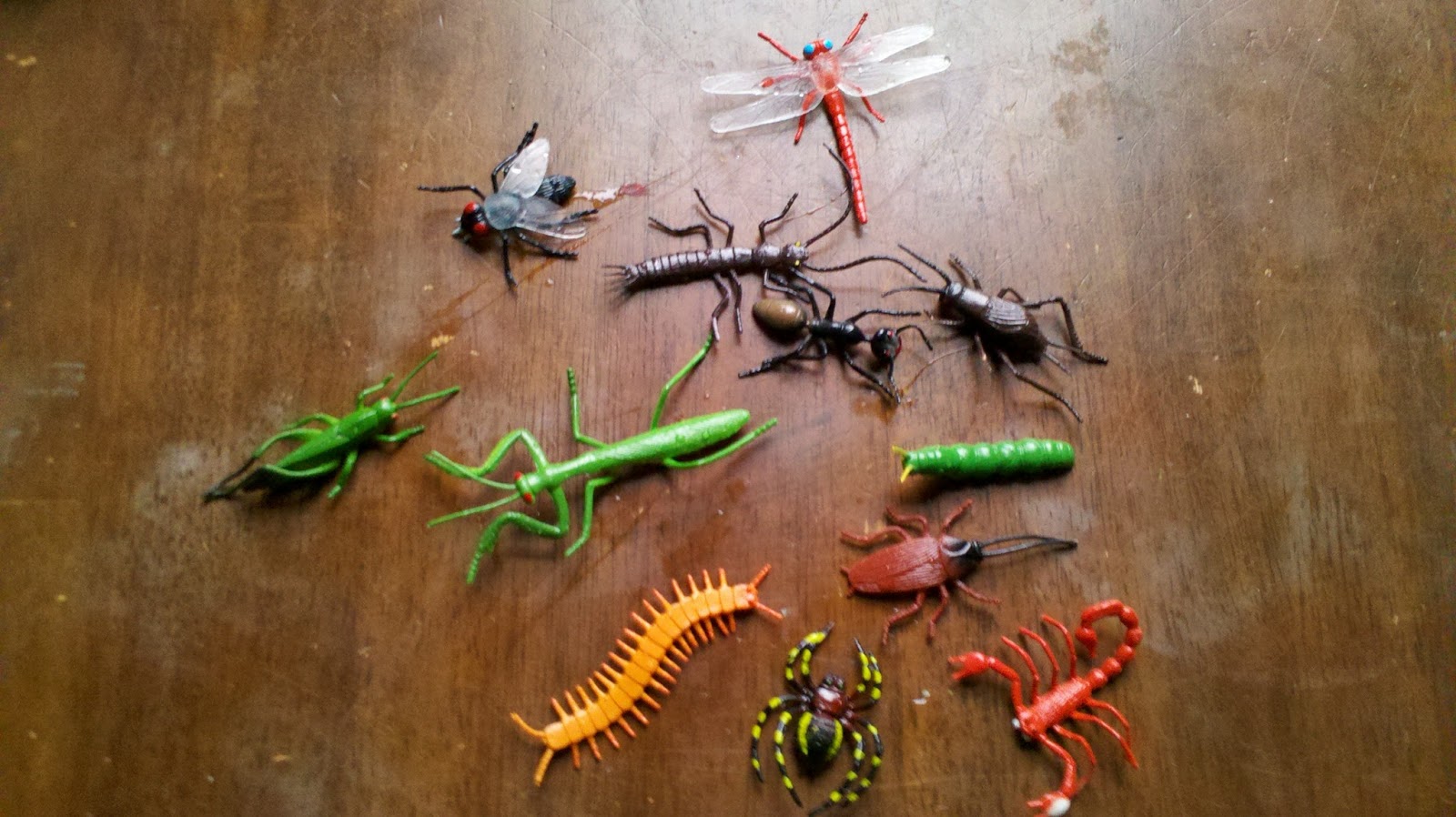 Munchkin and Bean: Insect Small World