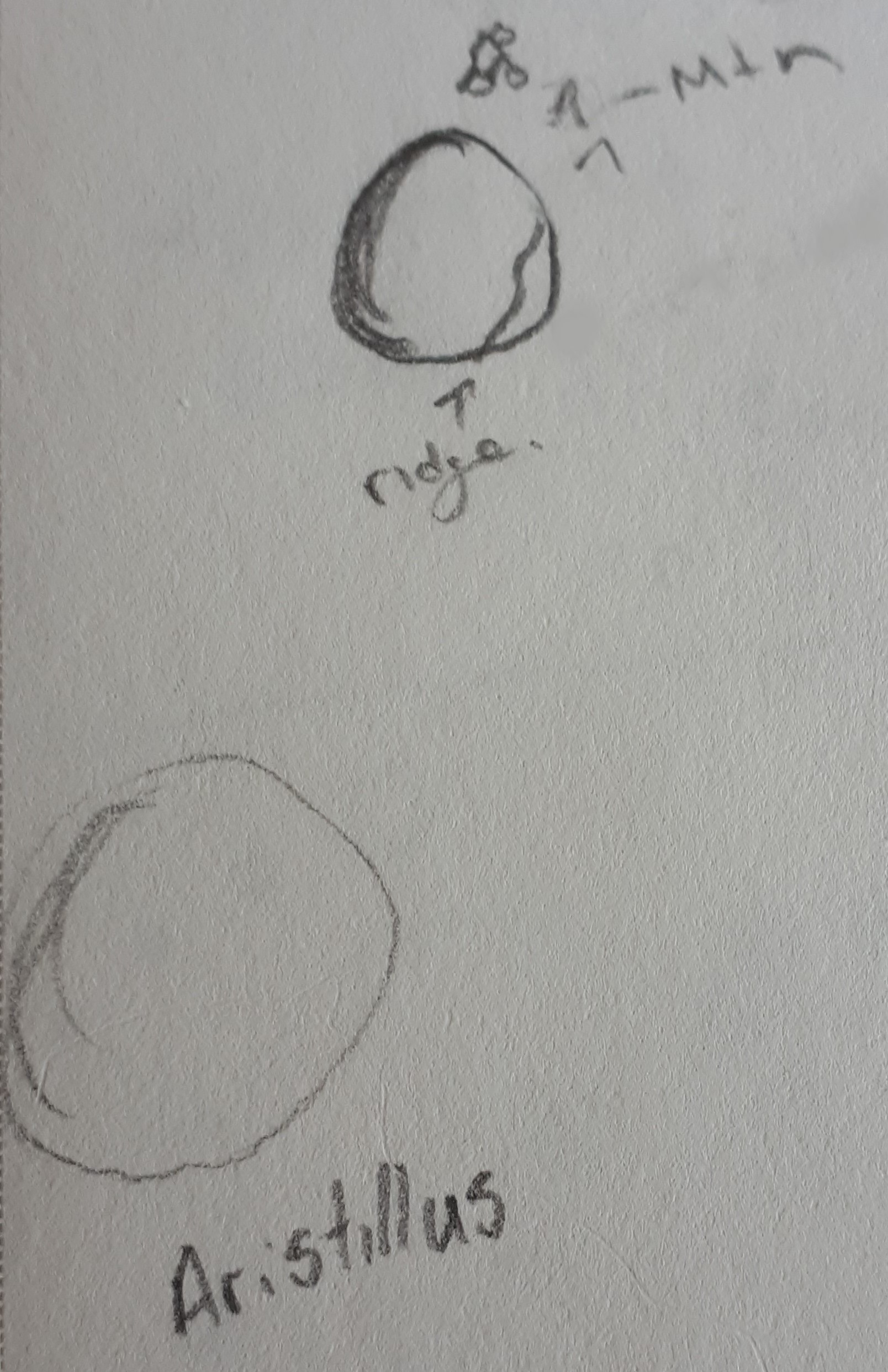 2020 | Northern Astronomy