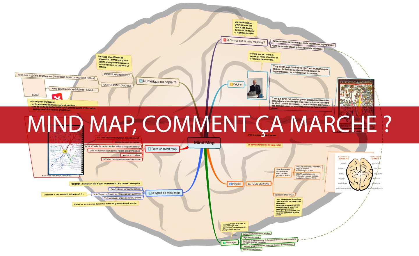Qu’estce qu’une carte mentale ? Concept, Intérêt, Exemples