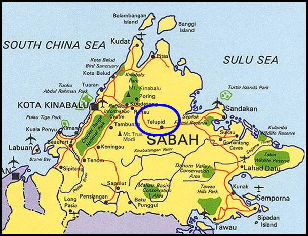 :: M.a.m.a. A.d.a.m ::: Balik sudah bah...