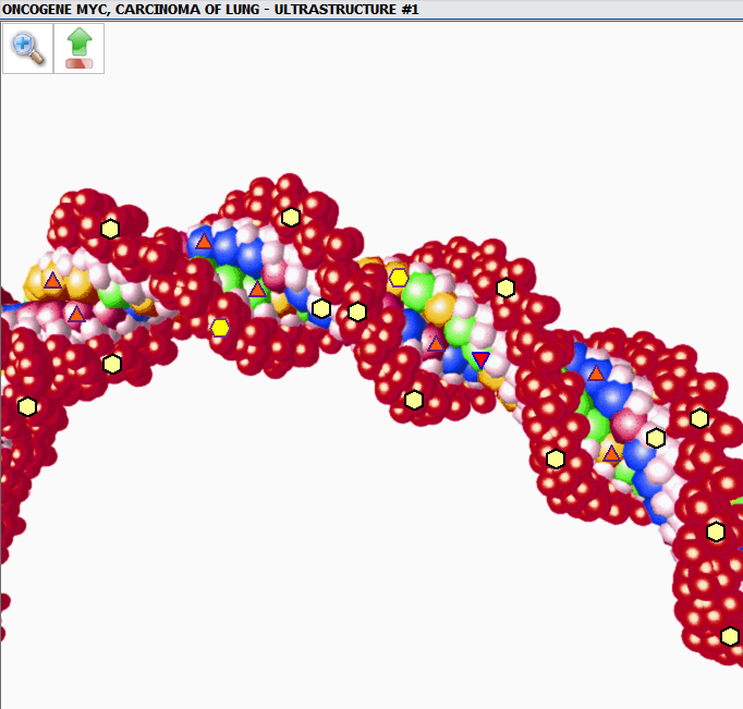 Ο ΚΑΡΚΙΝΟΣ ΤΟΥ ΠΝΕΥΜΟΝΑ, ΟΙ ΠΑΡΑΓΟΝΤΕΣ ΚΙΝΔΥΝΟΥ ΚΑΙ Η ΚΑΛΥΤΕΡΗ ΠΡΟΛΗΨΗ ...