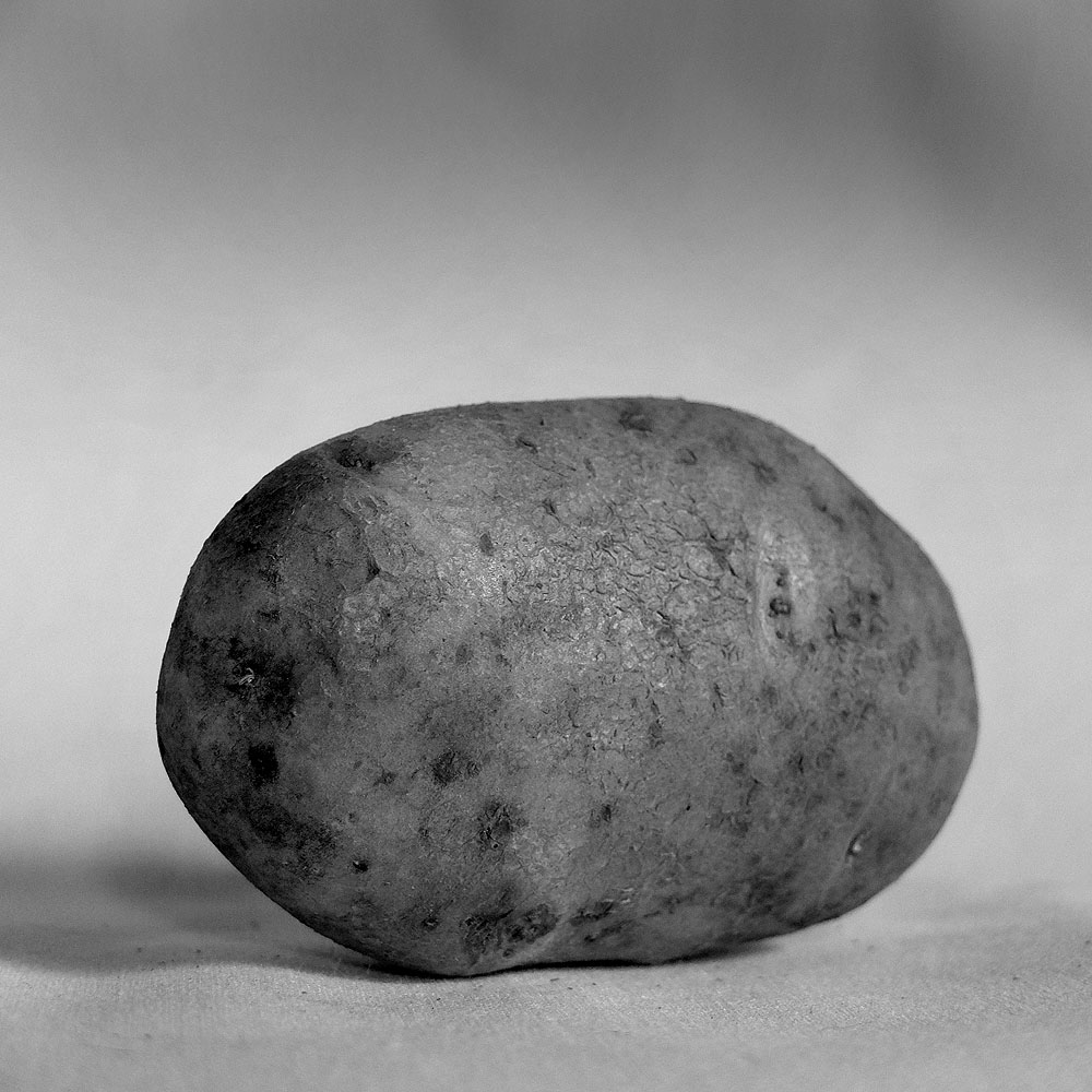 some old pictures I took: Potato