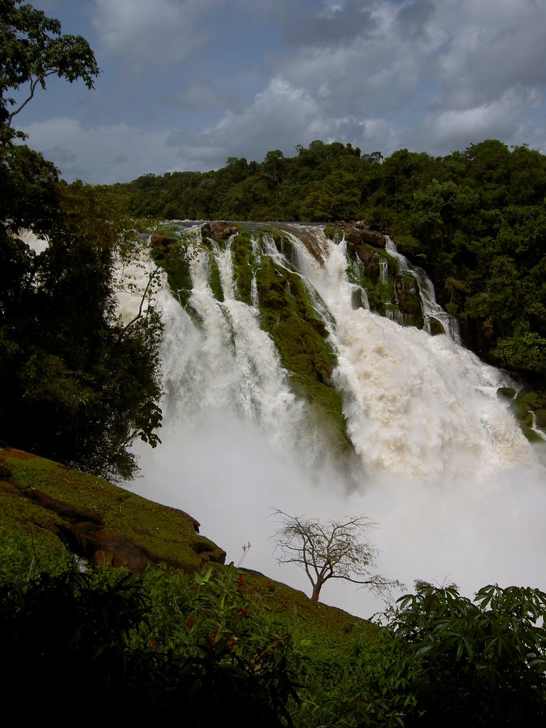 PAYARA FISHING LODGE: EXPEDICION CAURA & NICHIARE
