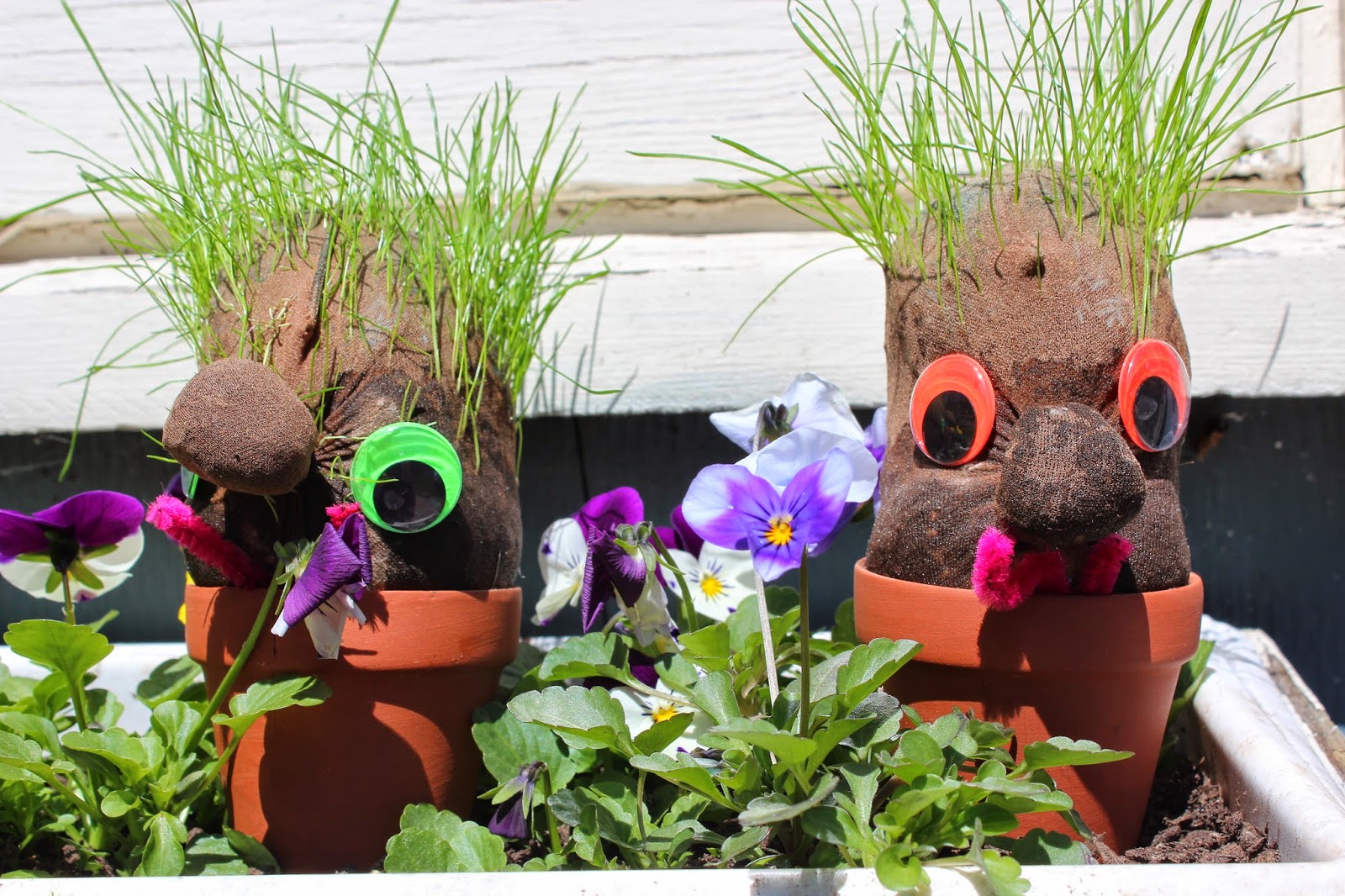 The Blue Barn: Goggly Eyed Grass Heads