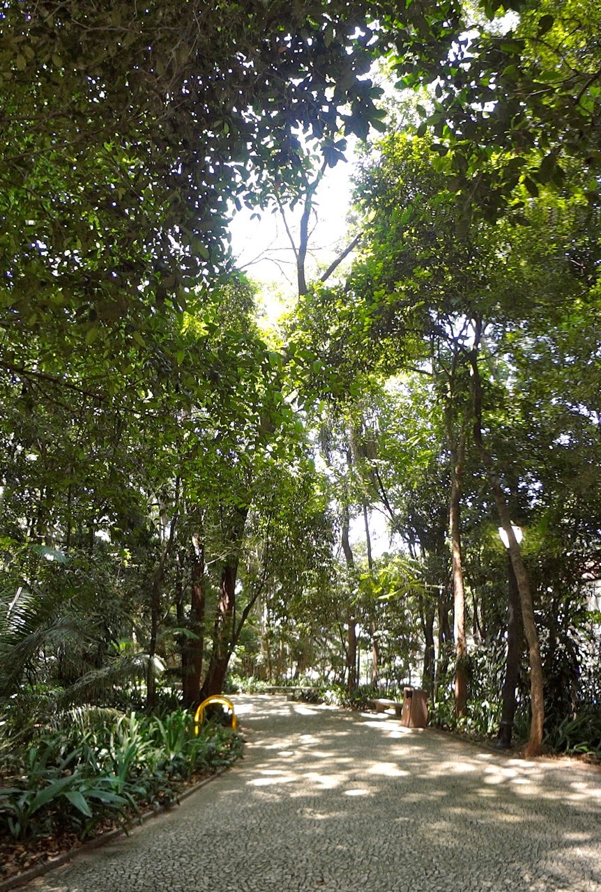 Parque Trianon ou Tenente Siqueira Campos em São Paulo ~ Áreas Verdes ...