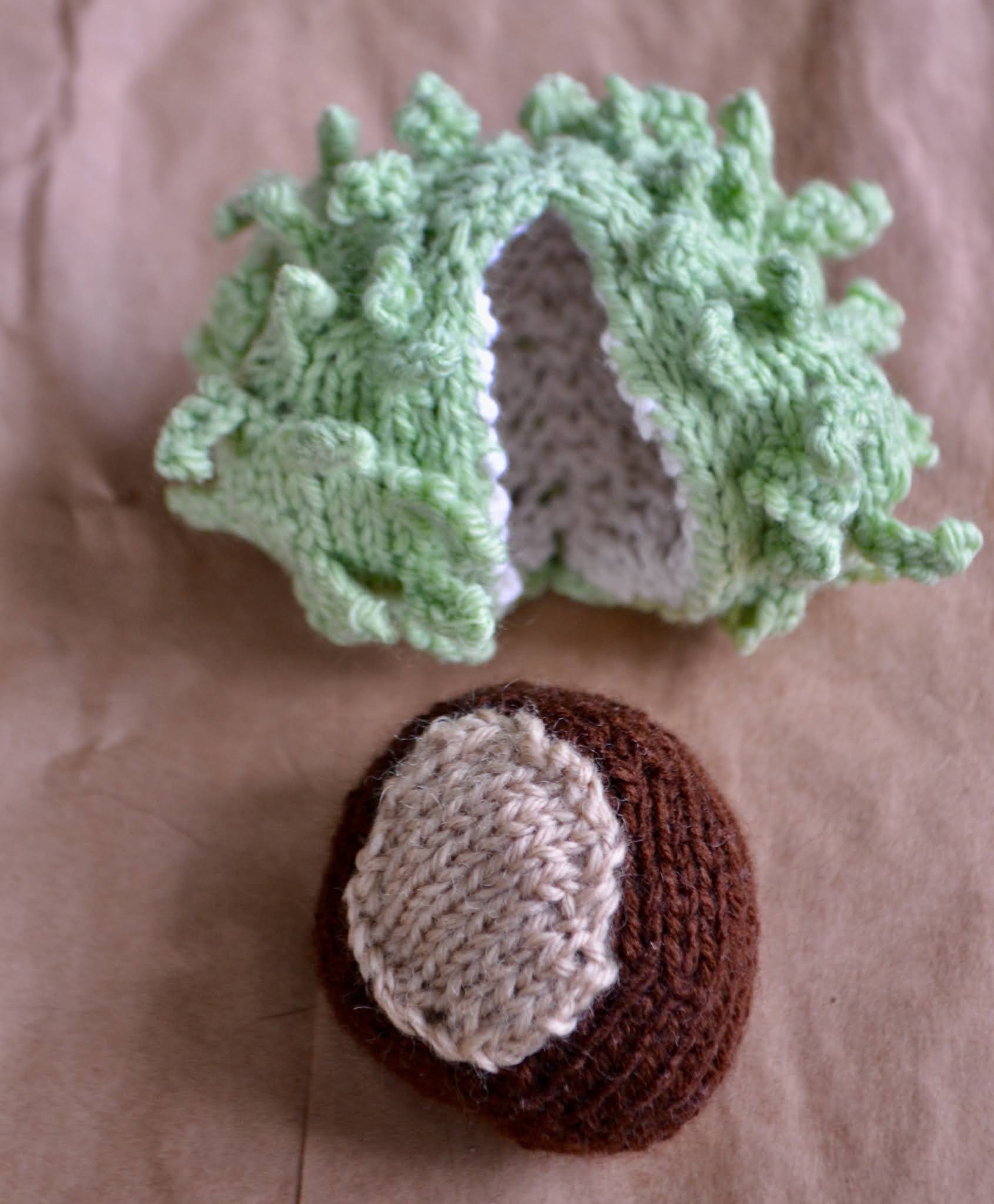 Ginx Craft : Conker With Shell