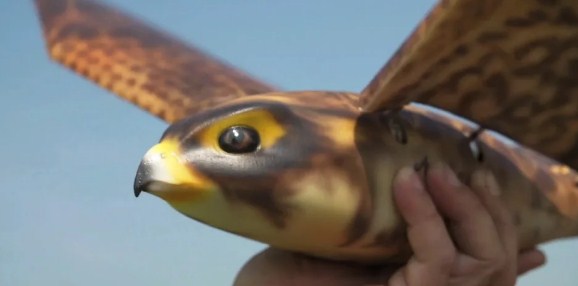 ROBIRD Robot Bird Review Price | URI Movie Garuda Robot Bird in Real