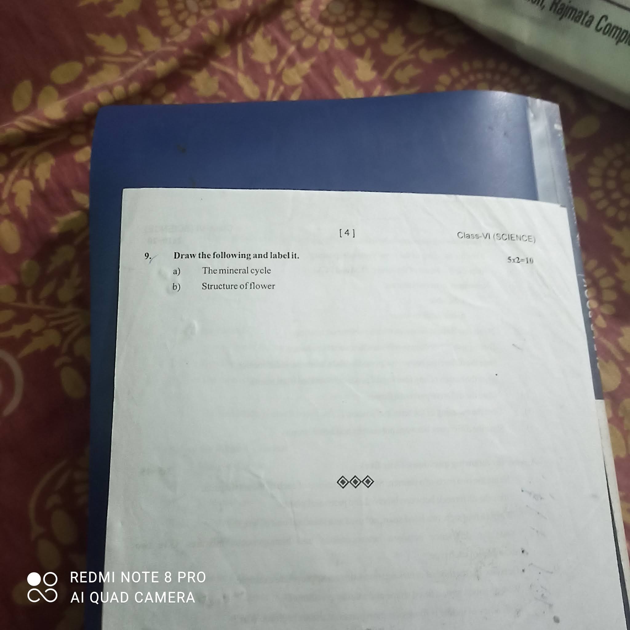 Question paper of class 6 half yearly, DAV Public School, Science