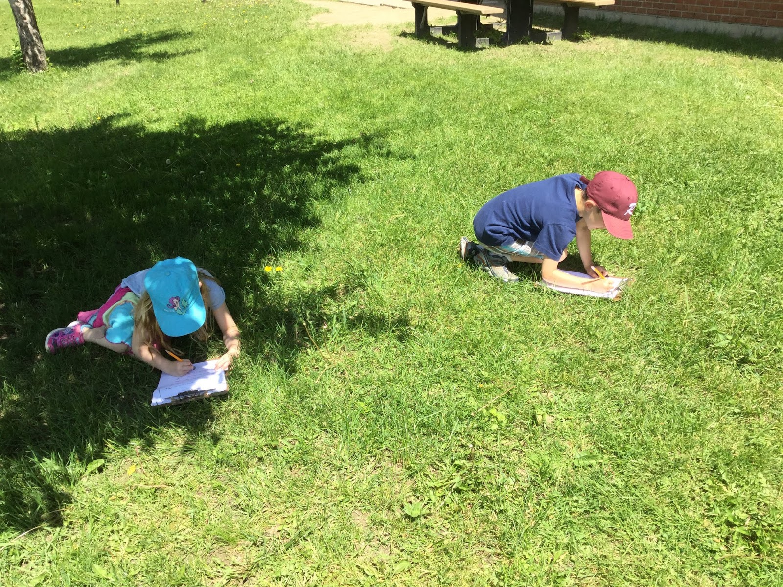 Mrs. Gilbar's Kindergarten: Observing Ants
