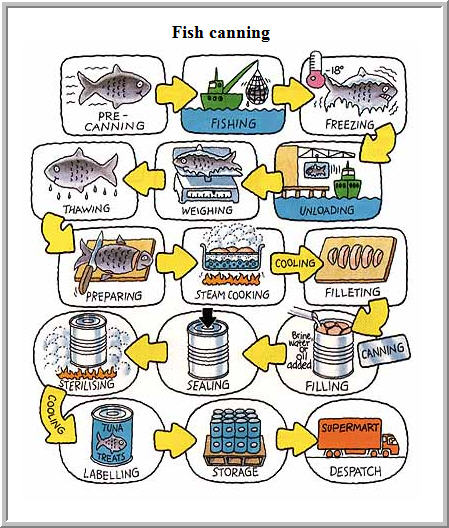 S T R A V A G A N Z A: HISTORY OF FOOD CANNING IN AUSTRALIA