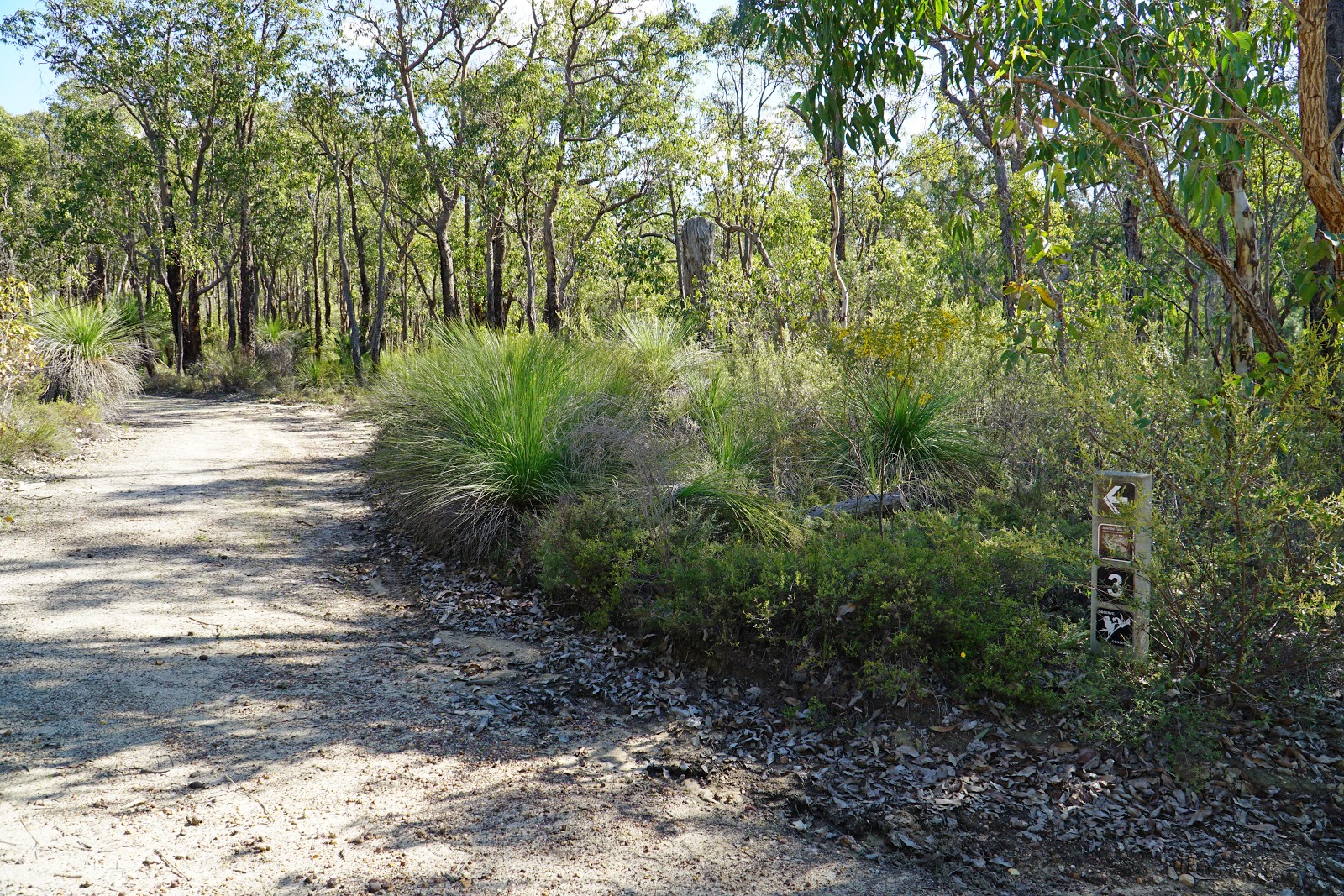 FR Berry Walk Trail (FR Berry Reserve) ~ The Long Way's Better