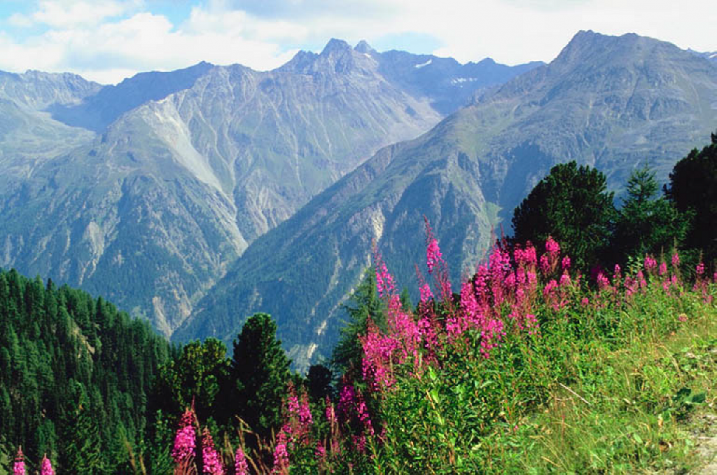 Perspectief tekenen: Atmosferisch perspectief geeft elk schilderij de ...