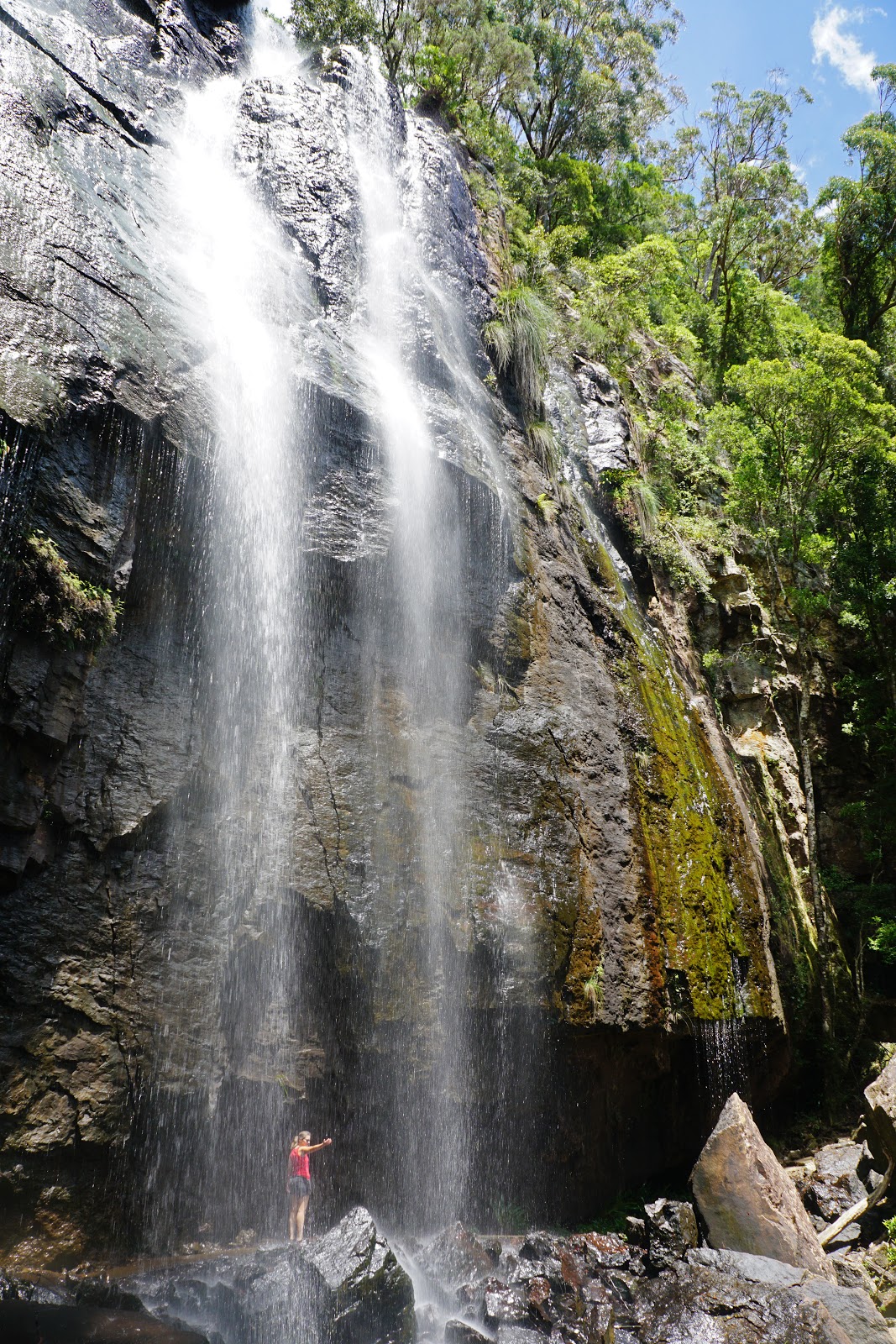 Twin Falls Circuit (Springbrook National Park) ~ The Long Way's Better