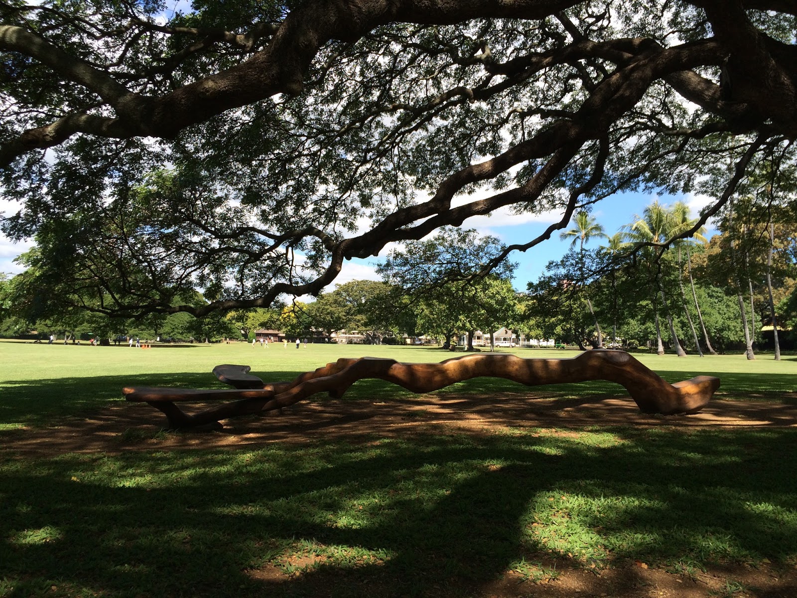 Aloha from Hawaii: The Hitachi tree