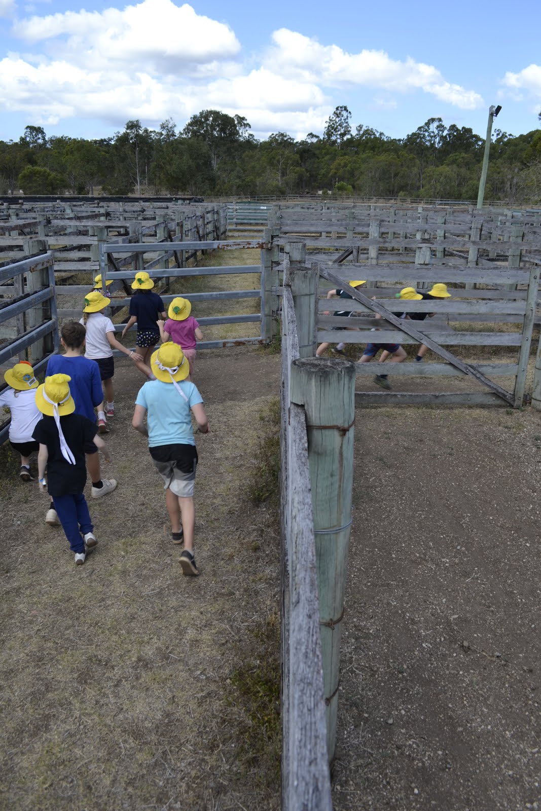Queensland Cuboree: 2018