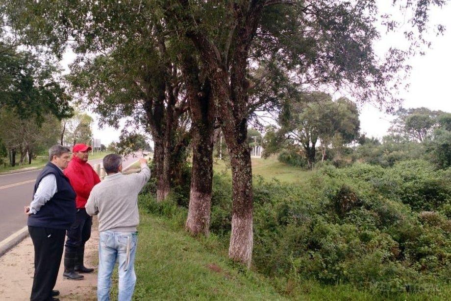 ASOCIACION ECOLOGISTA RIO MOCORETA: LUMPIEZA DE DESAGUES PLUVIALES ...