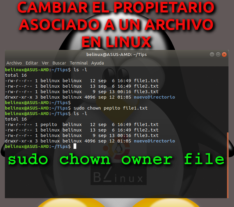 Ubuntu Linux: Recopilación Tips gráficos de comandos de Linux