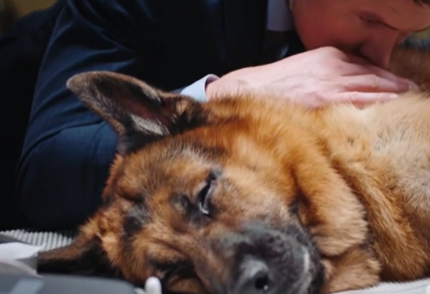 And his new place has art on the walls, which we all know is Sarah’s ...