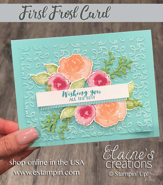 Elaine's Creations: Which First Frost Card do you prefer?