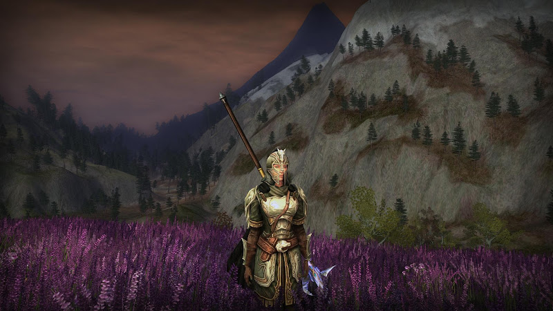 Ravalation: LOTRO: Rohirrim in disguise