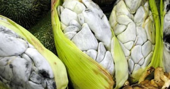 El huitlacoche, un ingrediente con sabor a México