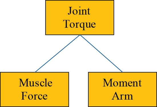 Real-World Biomechanics