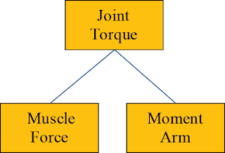 Real-World Biomechanics