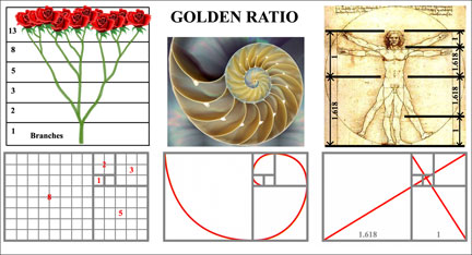 Beyond Architectural Illustration: Composition part 2 - The Golden ...
