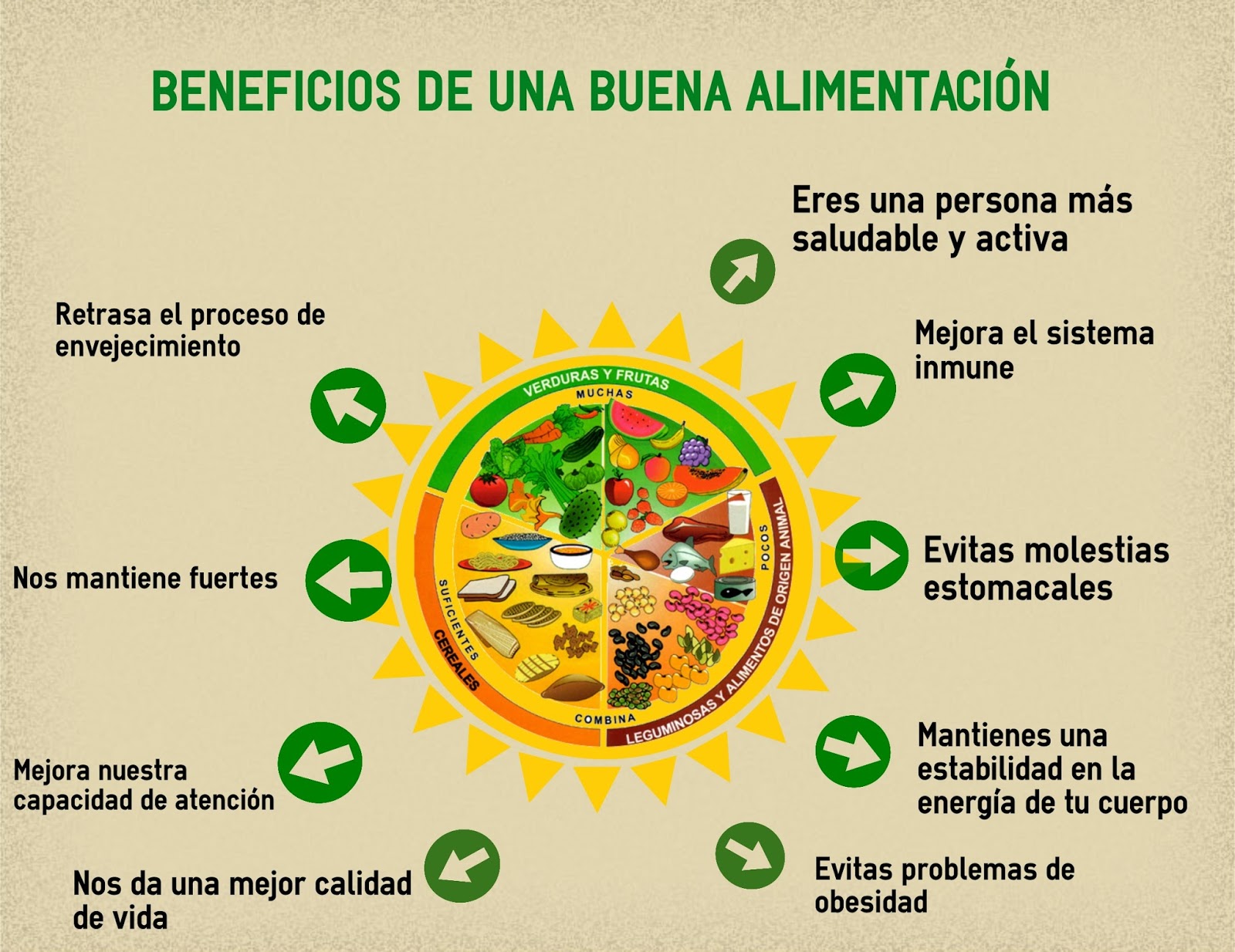 Beneficios de una buena alimetación