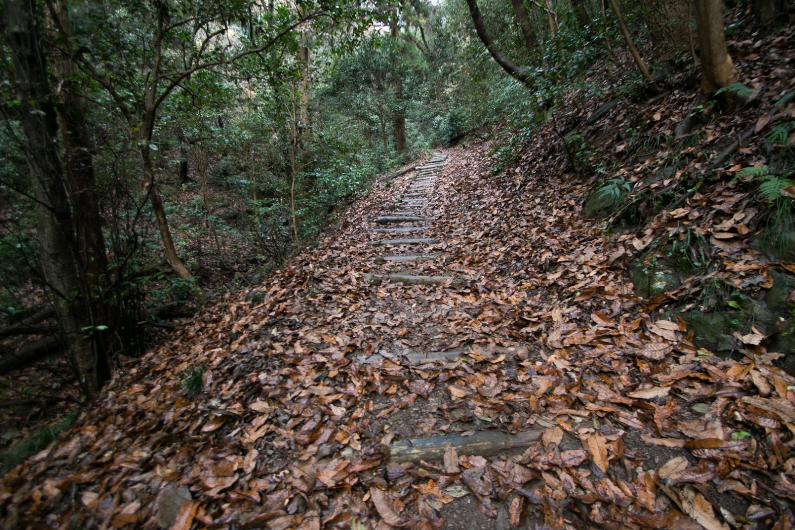 Kanagawa Castle -Fall just one step short of survival- | Ken's Storage ...
