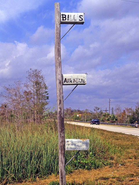 Geographically Yours: Alligator Alley, Florida, USA