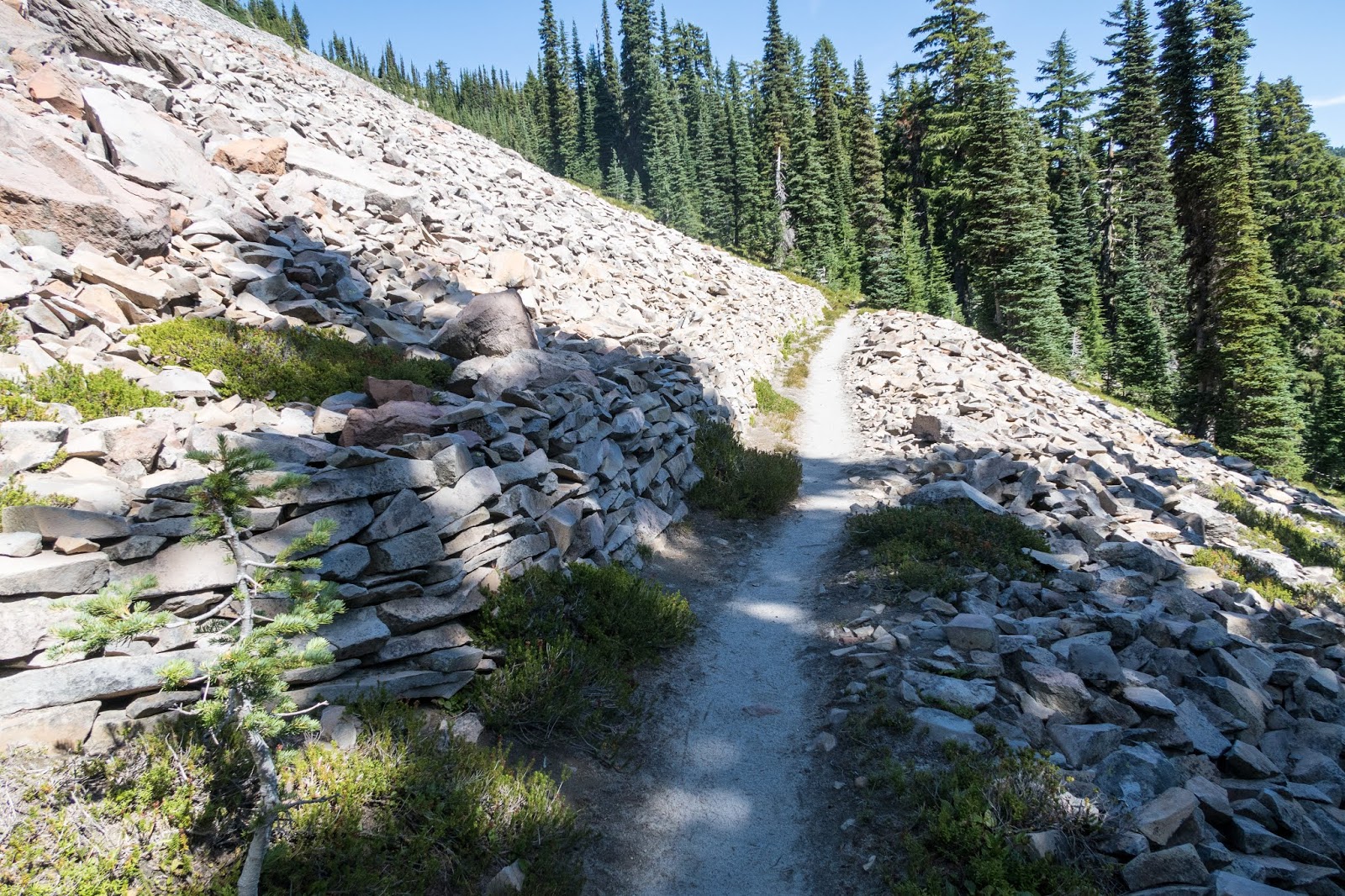 Eric's Hikes: Goat Rocks Wilderness: Goat Lake Loop and Old Snowy