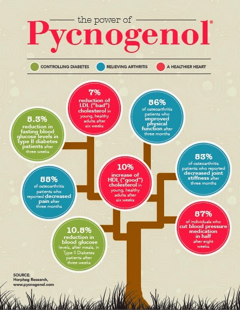 CustomizeME: The power of Pycnogenol Infographic