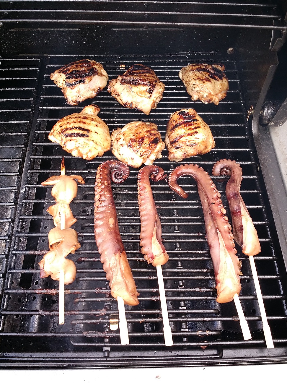 Fongpay's Universe: Mmm... Brains and Octopus