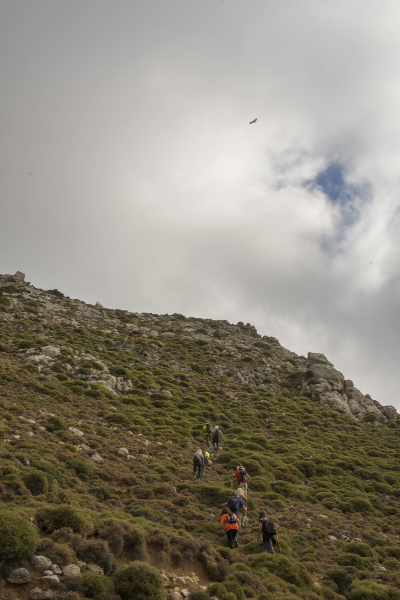 EXPLORE MOUNTAINS: ΚΟΡΥΦΗ ΣΚΛΟΚΑ (ΟΡΟΠΕΔΙΟ ΛΑΣΙΘΙΟΥ) 1298μ.