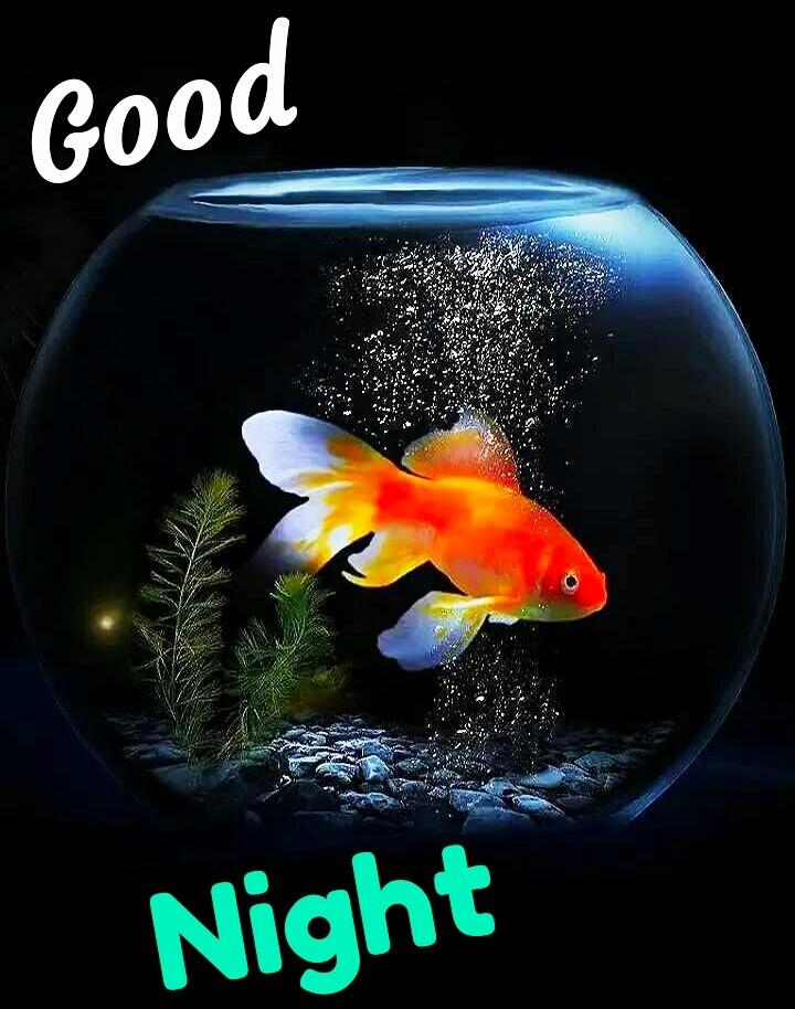 Best 30+ Good Night Images For Facebook || Good Night Images For ...