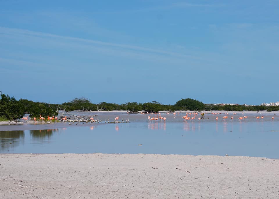 Being a Mérida tour guide