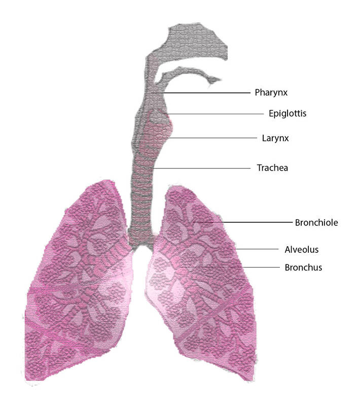 Tar Di Antara Bahan Kimia Berbahaya Dalam Asap Rokok Yang Boleh ...